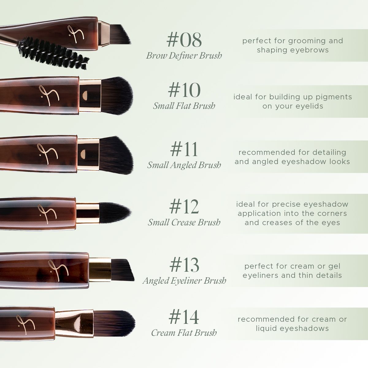 The Pro Brush Elite Collection: Exquisite Eye Series – Strokes Beauty Lab